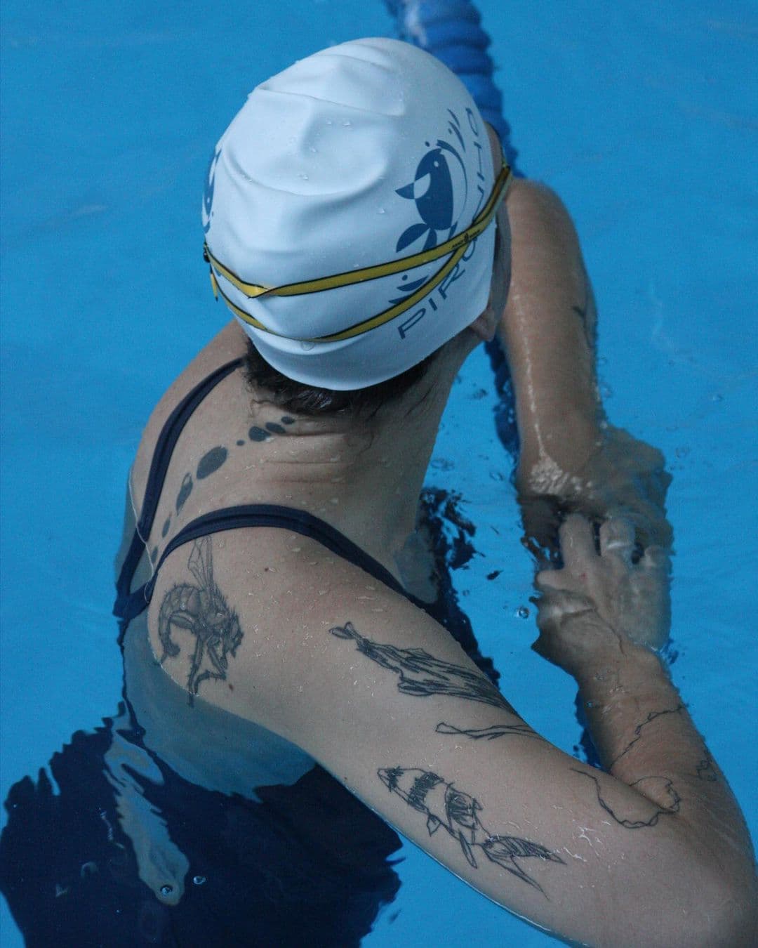 Swimming school - Piranha